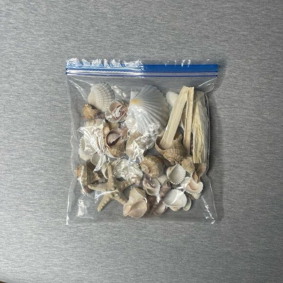 Threshold | Accents | Target Threshold Beach Sea Shells Vase Filler ...